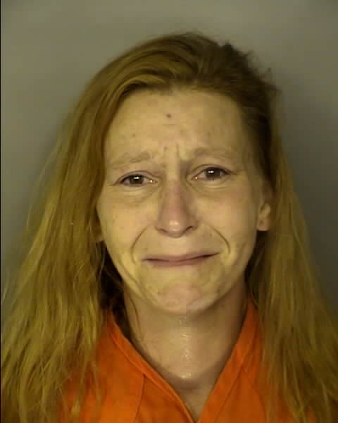 Amanda Catherine's Instagram, Twitter & Facebook on IDCrawl